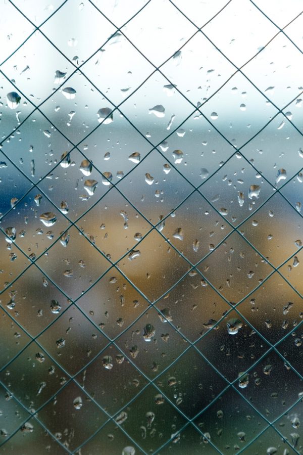 Understanding Baseball Rain Delay Rules | The Sports Cast